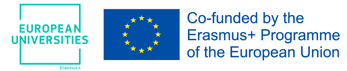 Ulysseus European University