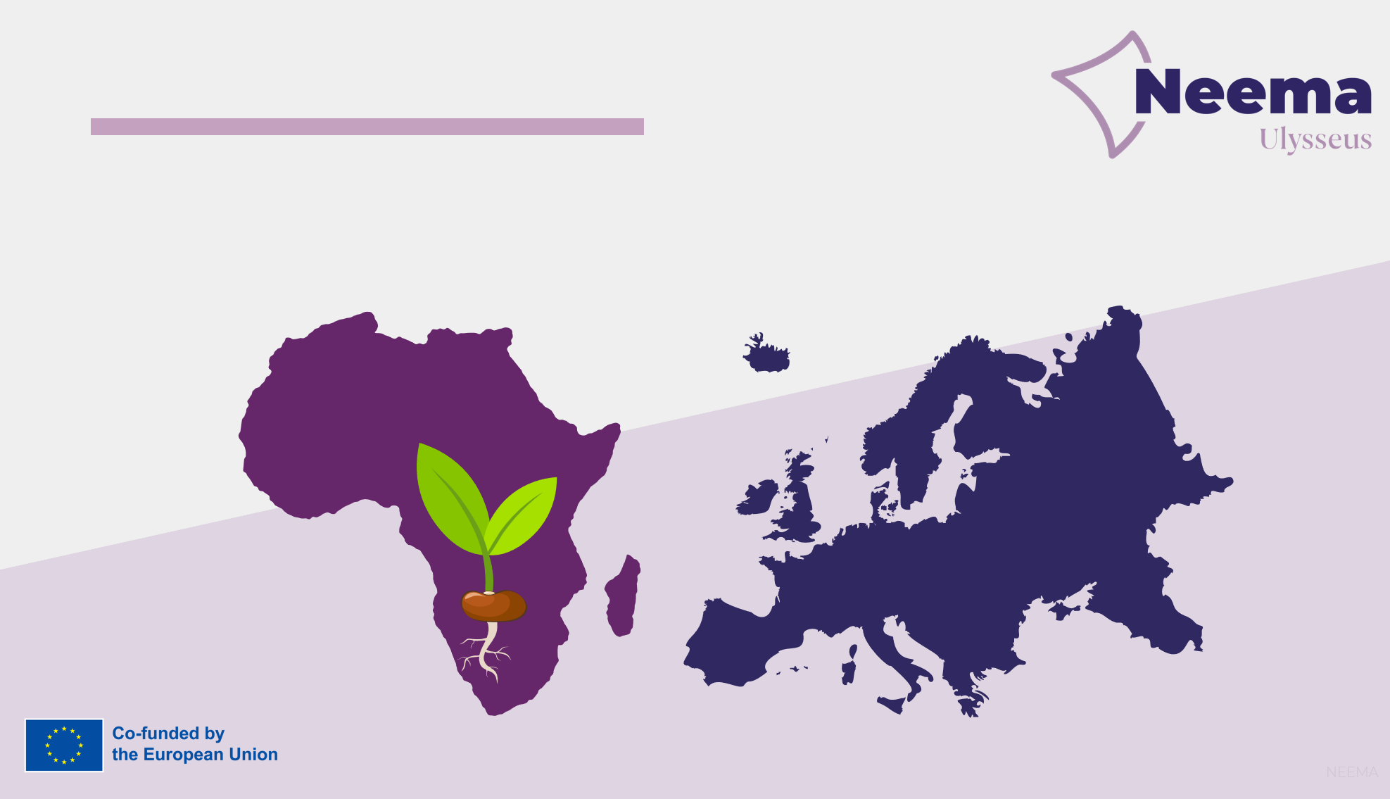 NEEMA project launches innovative initiatives to enhance food and ...