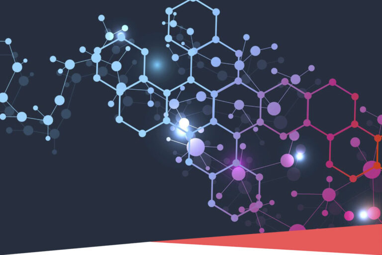 Academic Staff - Ulysseus